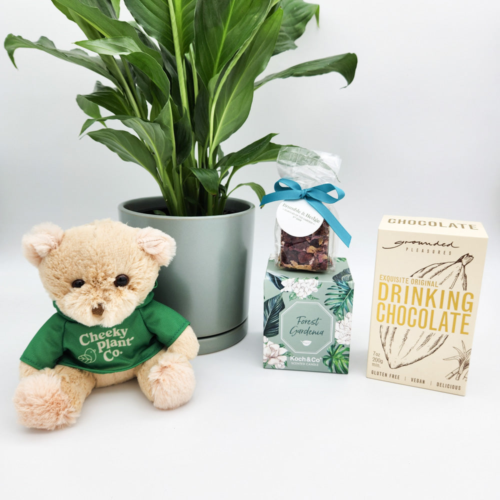 Unveiling the Green Trend: Why Plant Gifts Are Trending in 2024 ...