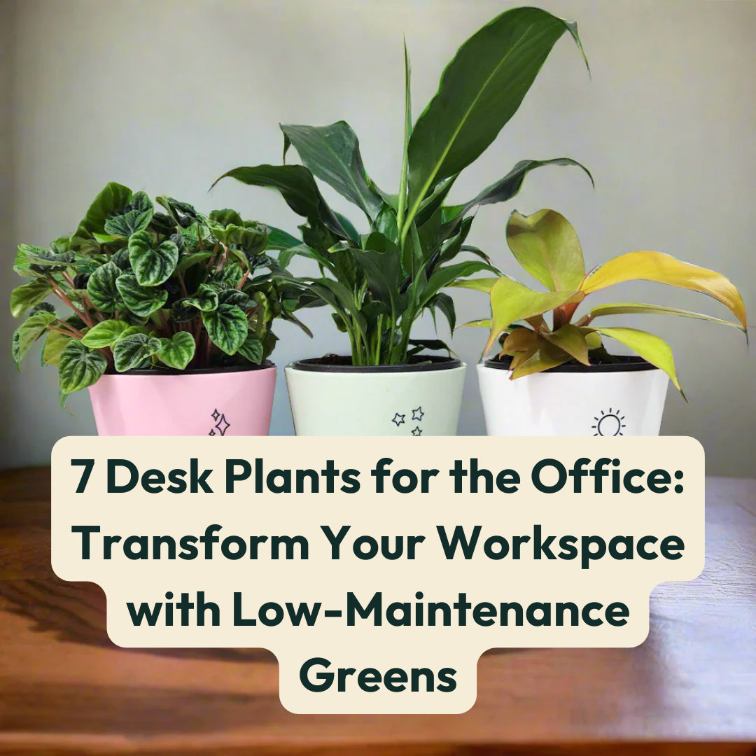 7 Desk Plants for the Office: Transform Your Workspace with Low-Mainte ...