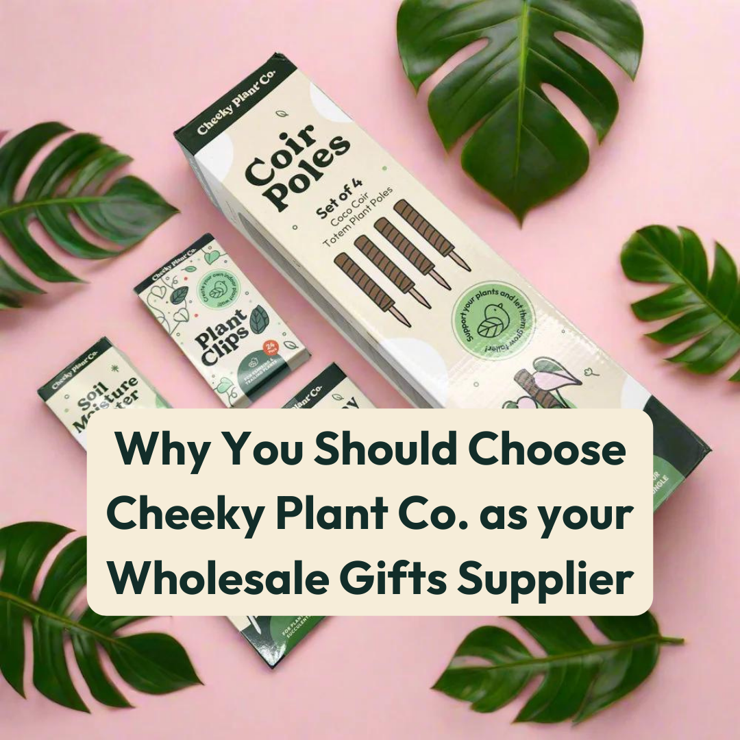 Why You Should Choose Cheeky Plant Co. as your Wholesale Gifts Supplie
