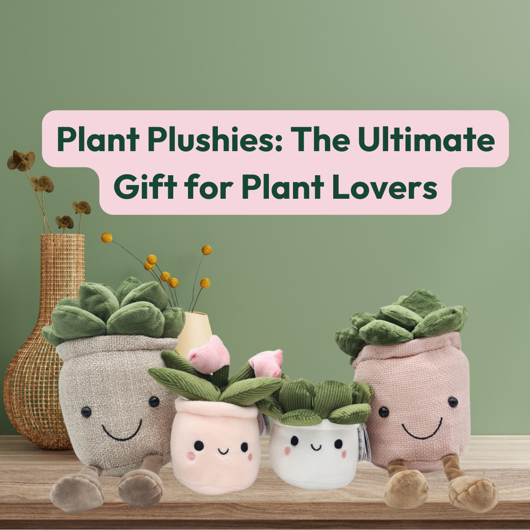 Plant Plushies: The Ultimate Gift for Plant Lovers – Cheeky Plant Co.