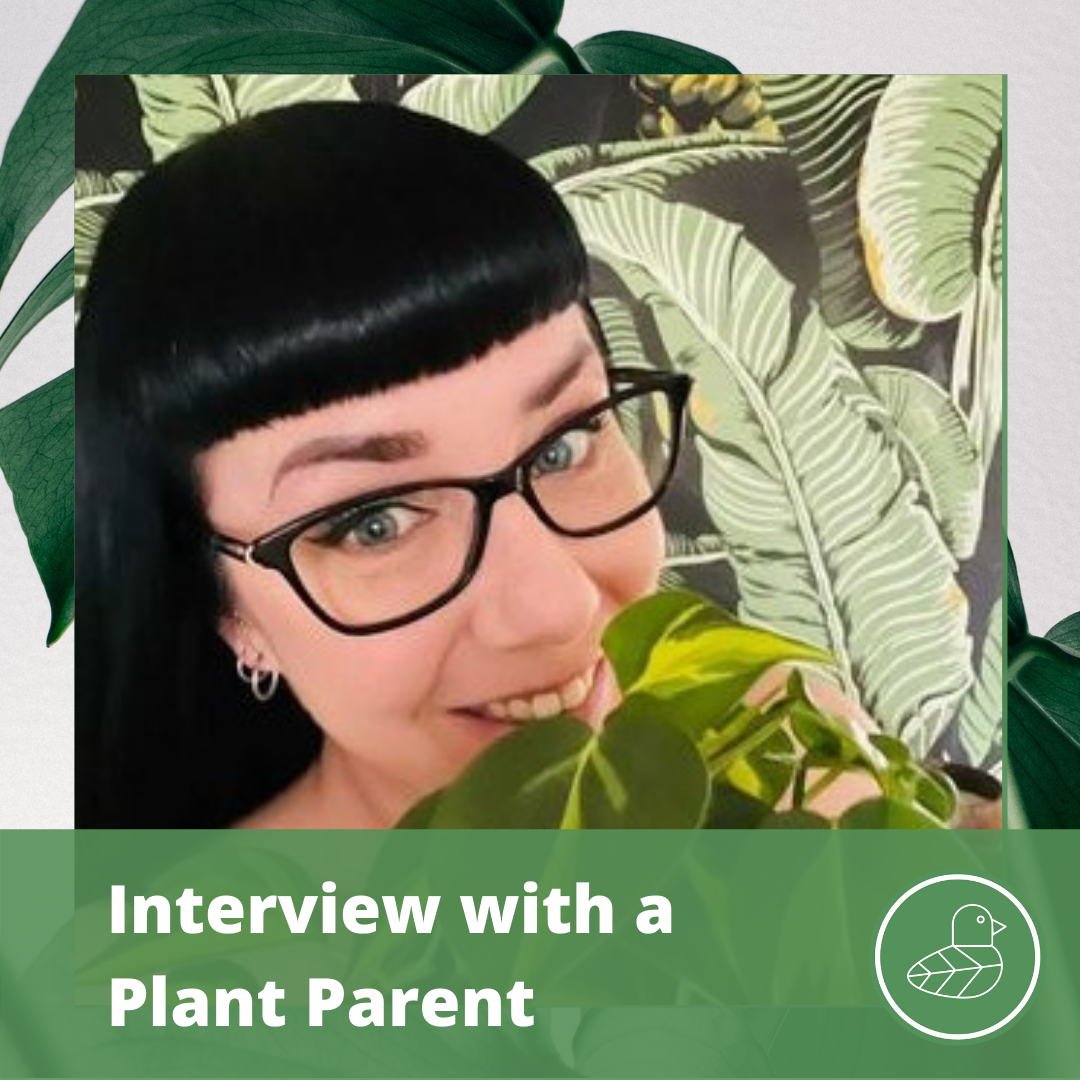 Interview with a Plant Parent: Ally – Cheeky Plant Co.