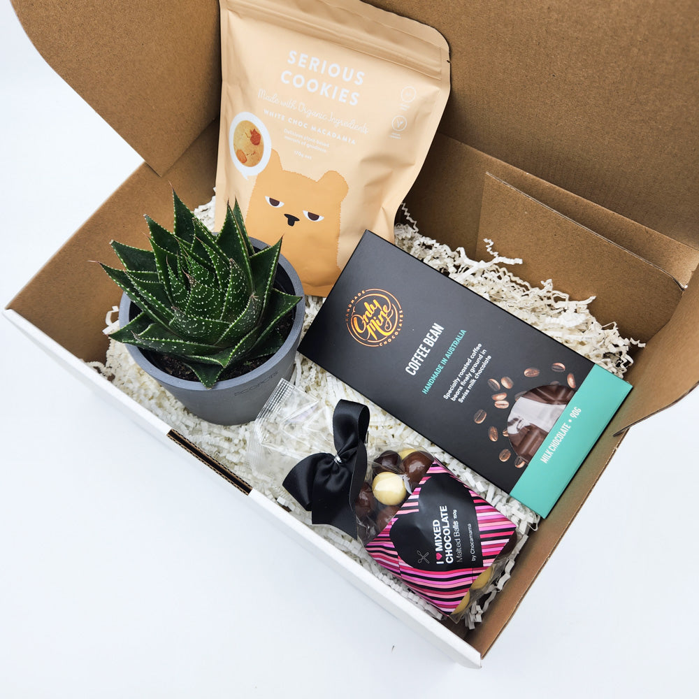 Sad to See You Go - Employee Farewell Gift Box – Cheeky Plant Co.