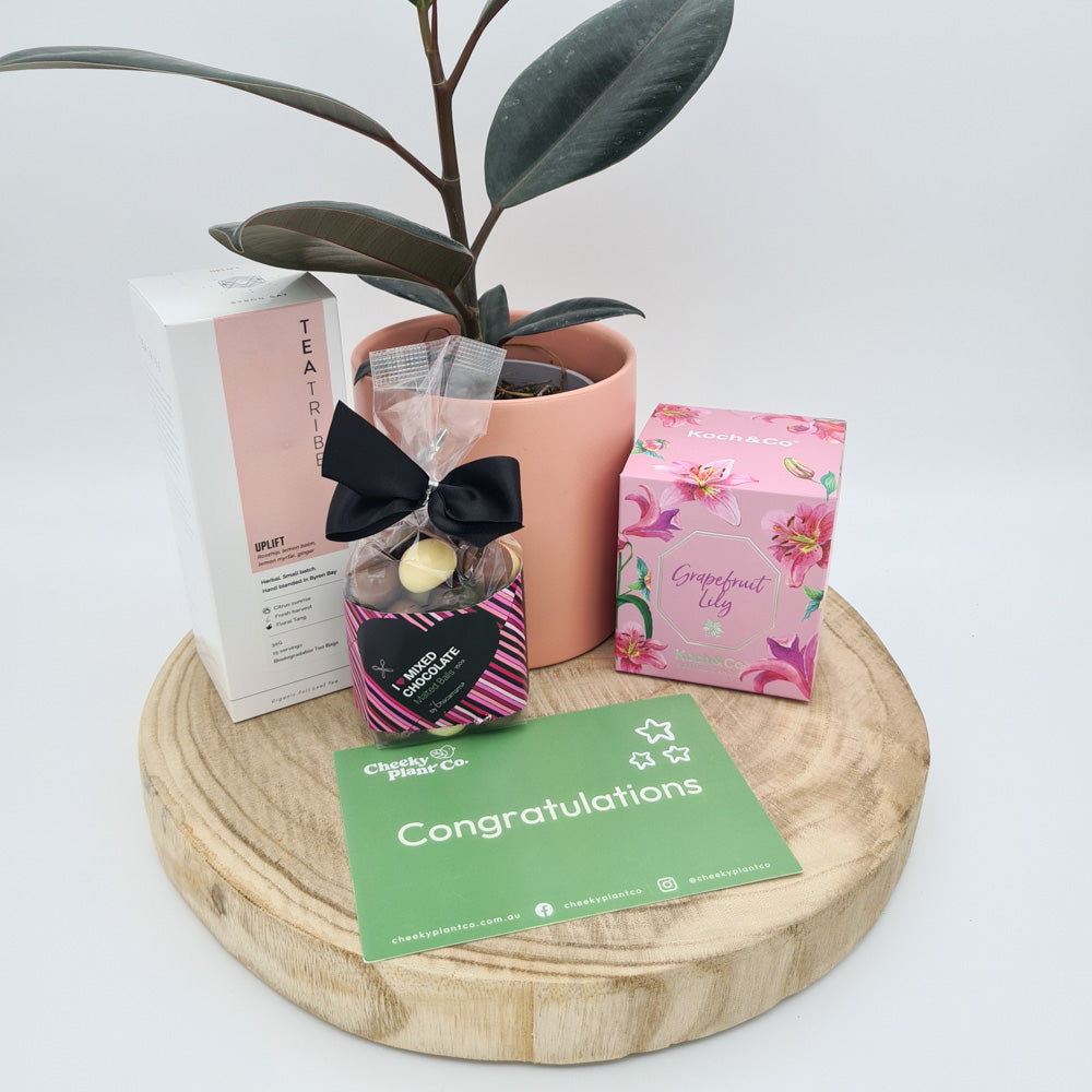 Congratulations Baby Plant Gift Hamper | Same Day Delivery Sydney ...