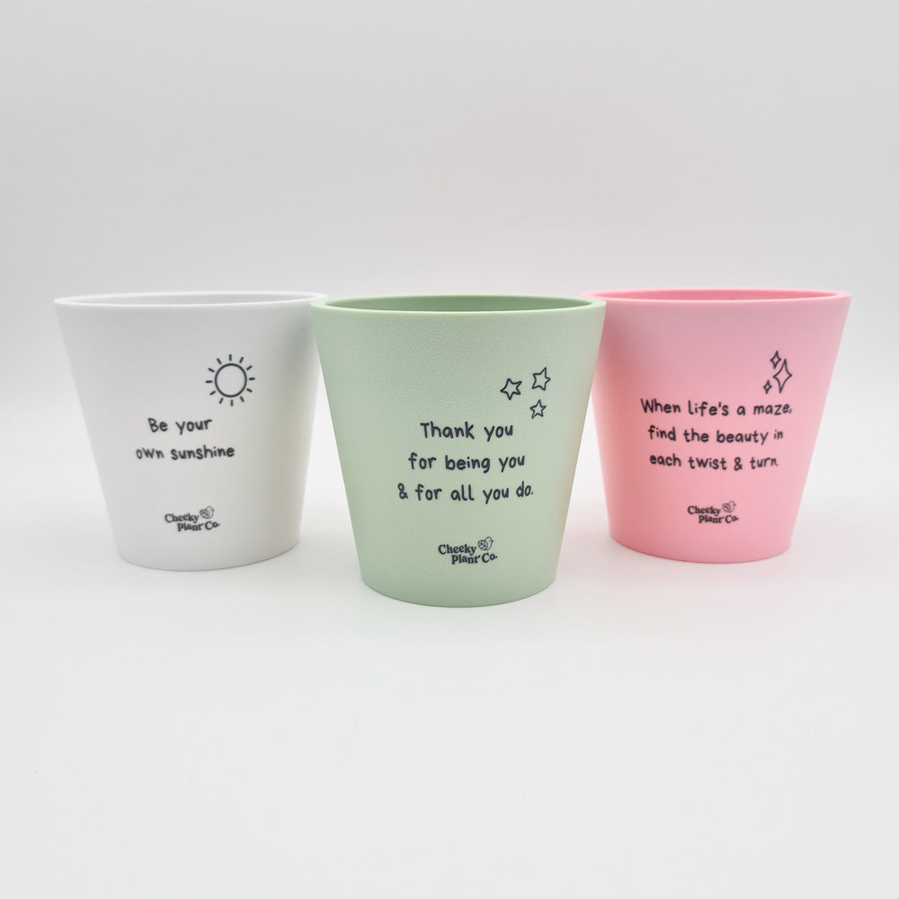 Trio Pack - Positive | Cute Plant Pots – Cheeky Plant Co.