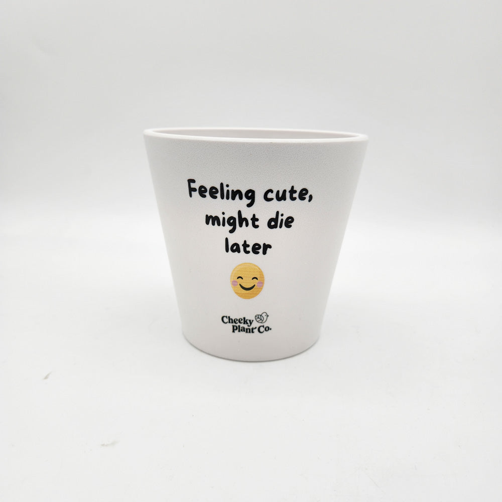 Feeling Cute Might Die Later | Funny & Quirky Plant Pots – Cheeky Plant Co.