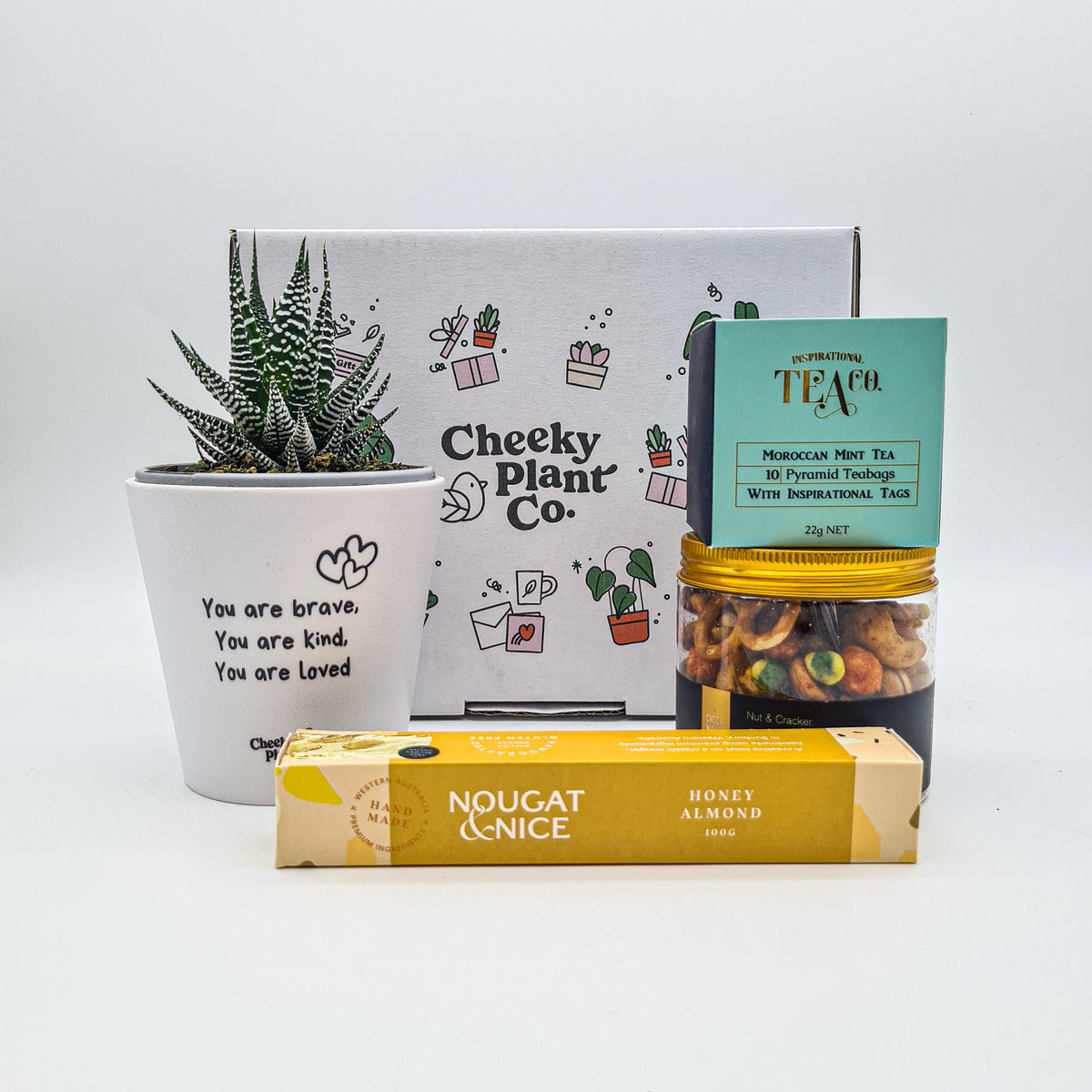 Positive Vibes Hamper - Succulent Gift Box | Succulent Gift Delivery ...