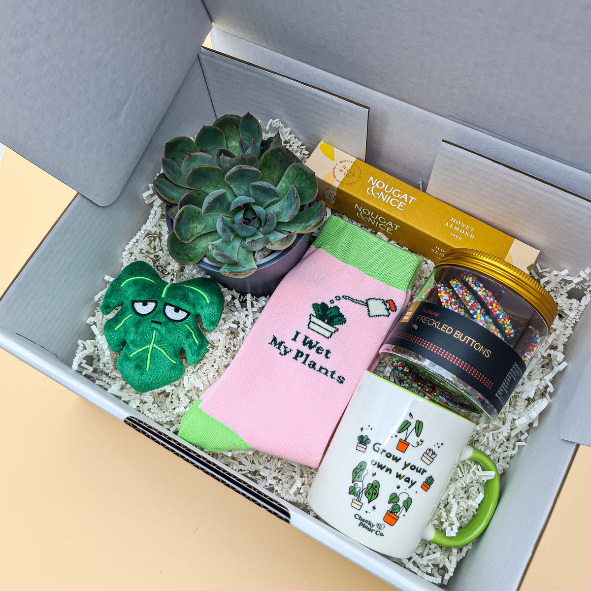 Planty of Love Hamper - Succulent Gift Box | Succulent Gift Delivery ...