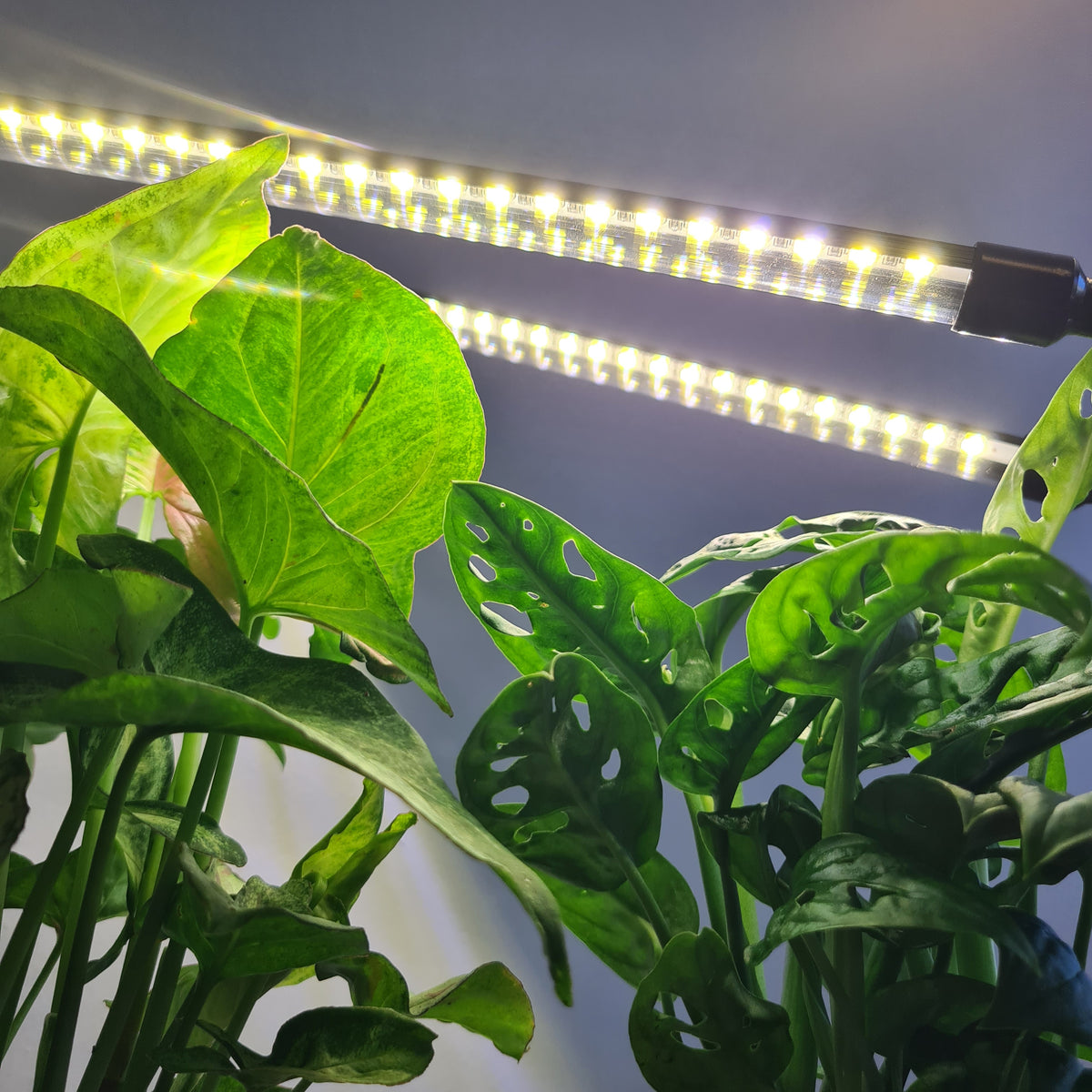 2 Headed LED Indoor Plant Grow Lights - White | LED Grow Lights for ...