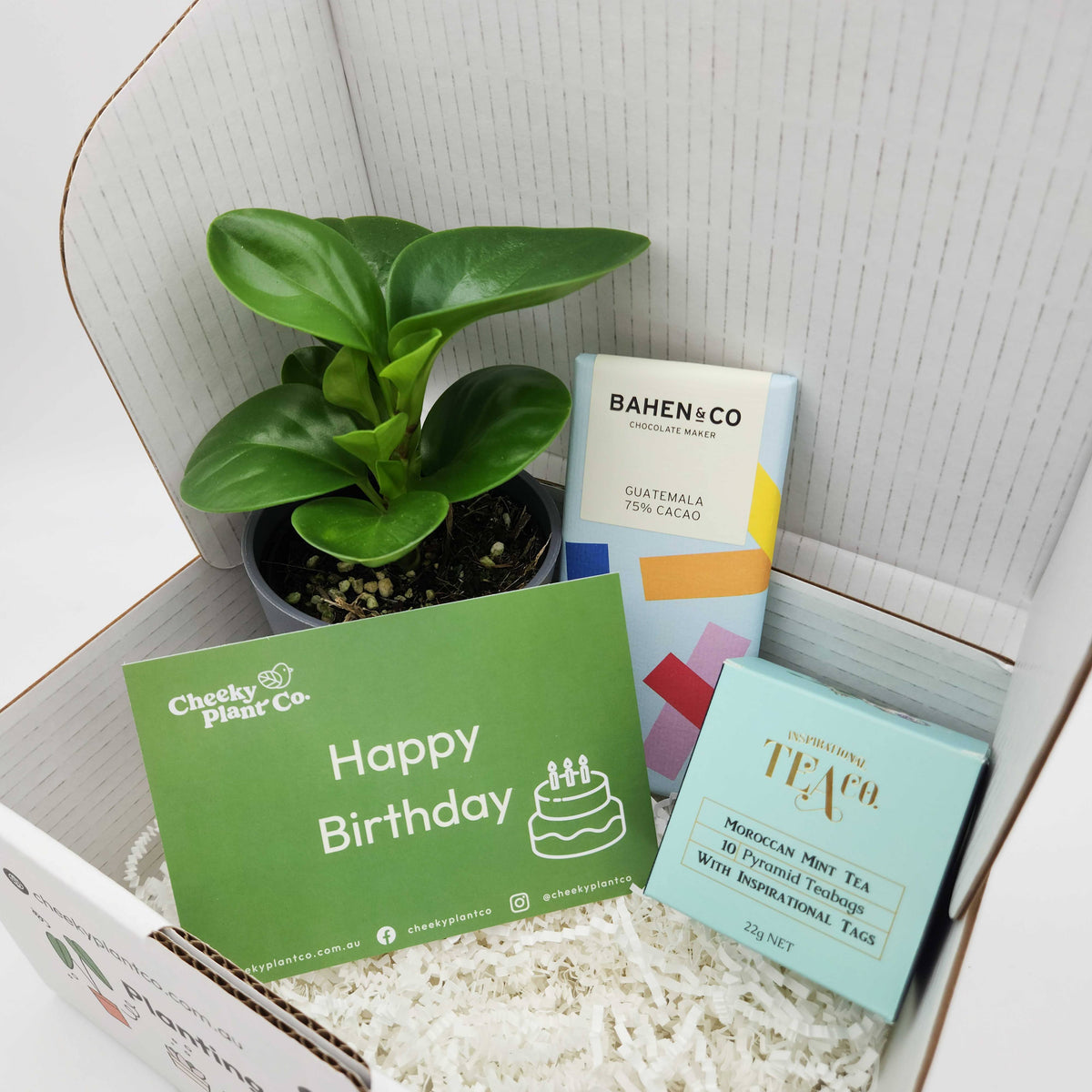 Birthday Plant Gift Box | Plant Gift Delivery | Plant Hamper – Cheeky ...