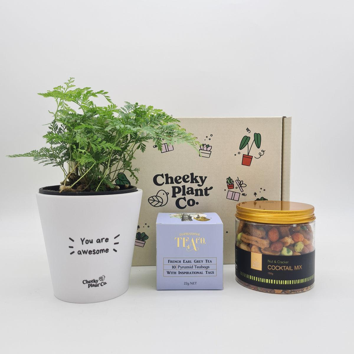 Positive Vibes Hamper - Plant Gift Box | Plant Gift Delivery – Cheeky ...