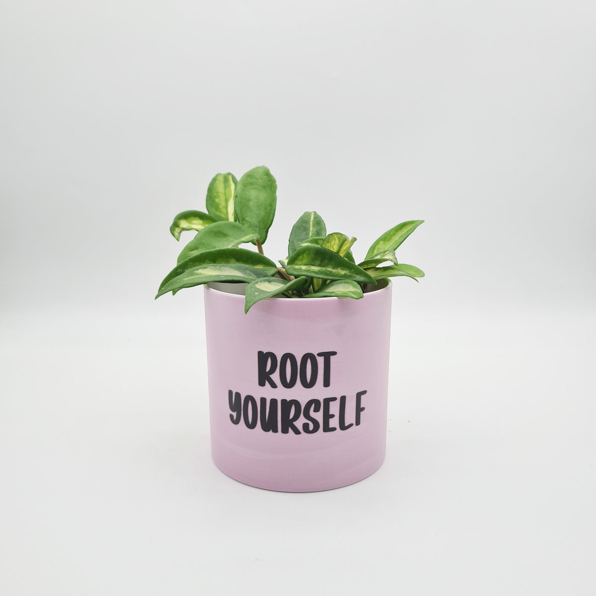 Root Yourself | Funny & Quirky Plant Pots – Cheeky Plant Co.