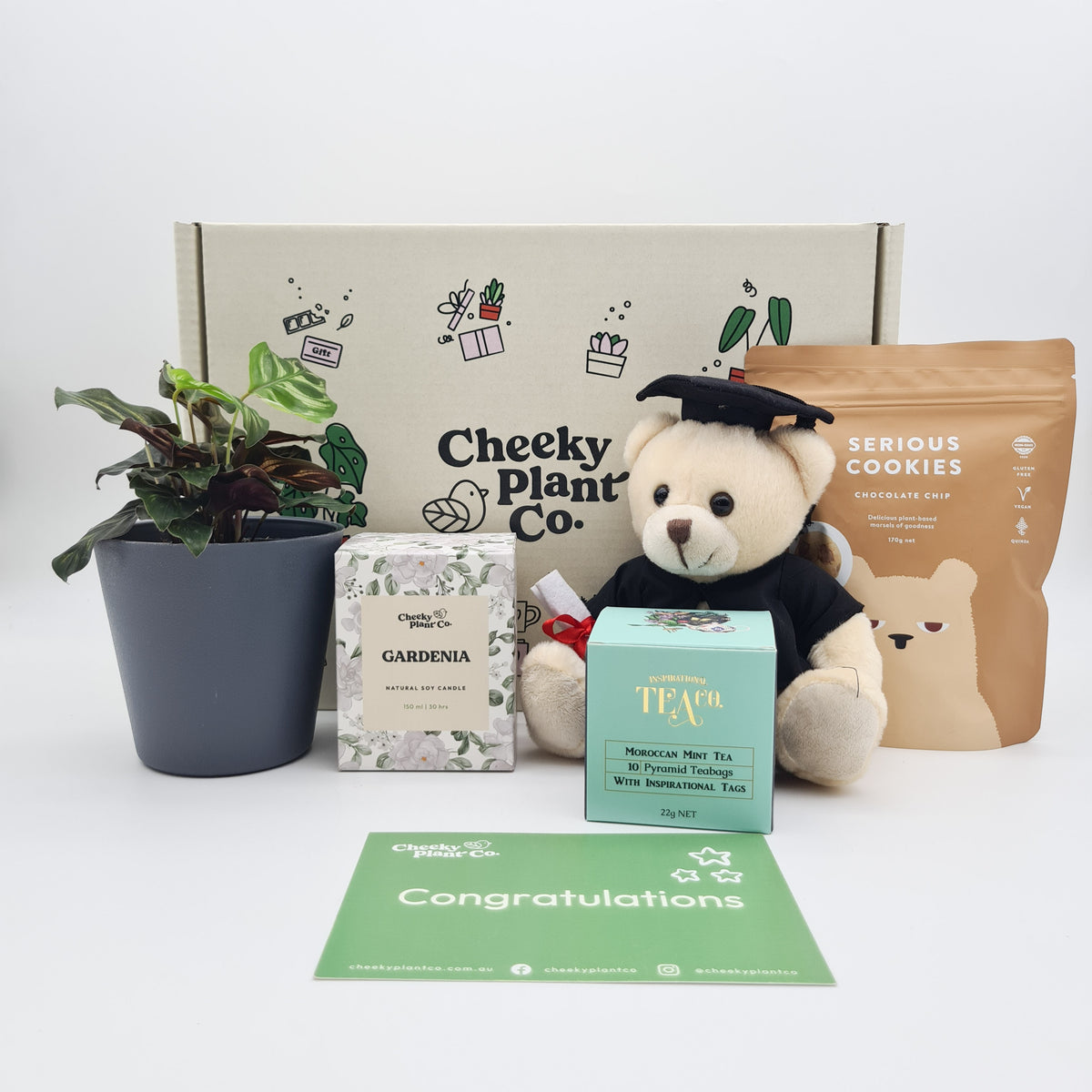 Graduation - Plant Gift Box | Plant Delivery | Send A Plant – Cheeky ...