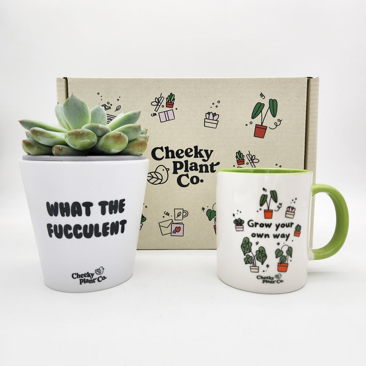 Cheeky Motivation - Succulent Gift Box | Succulent Gift Delivery ...