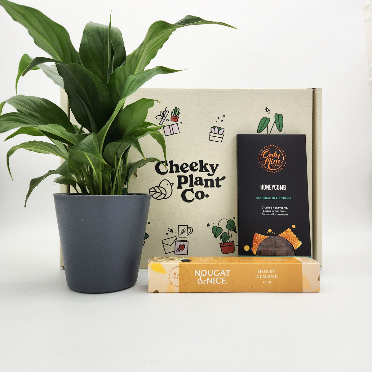 Peace Lily Condolence Gift Hamper | Sympathy Plant Gift Delivery ...