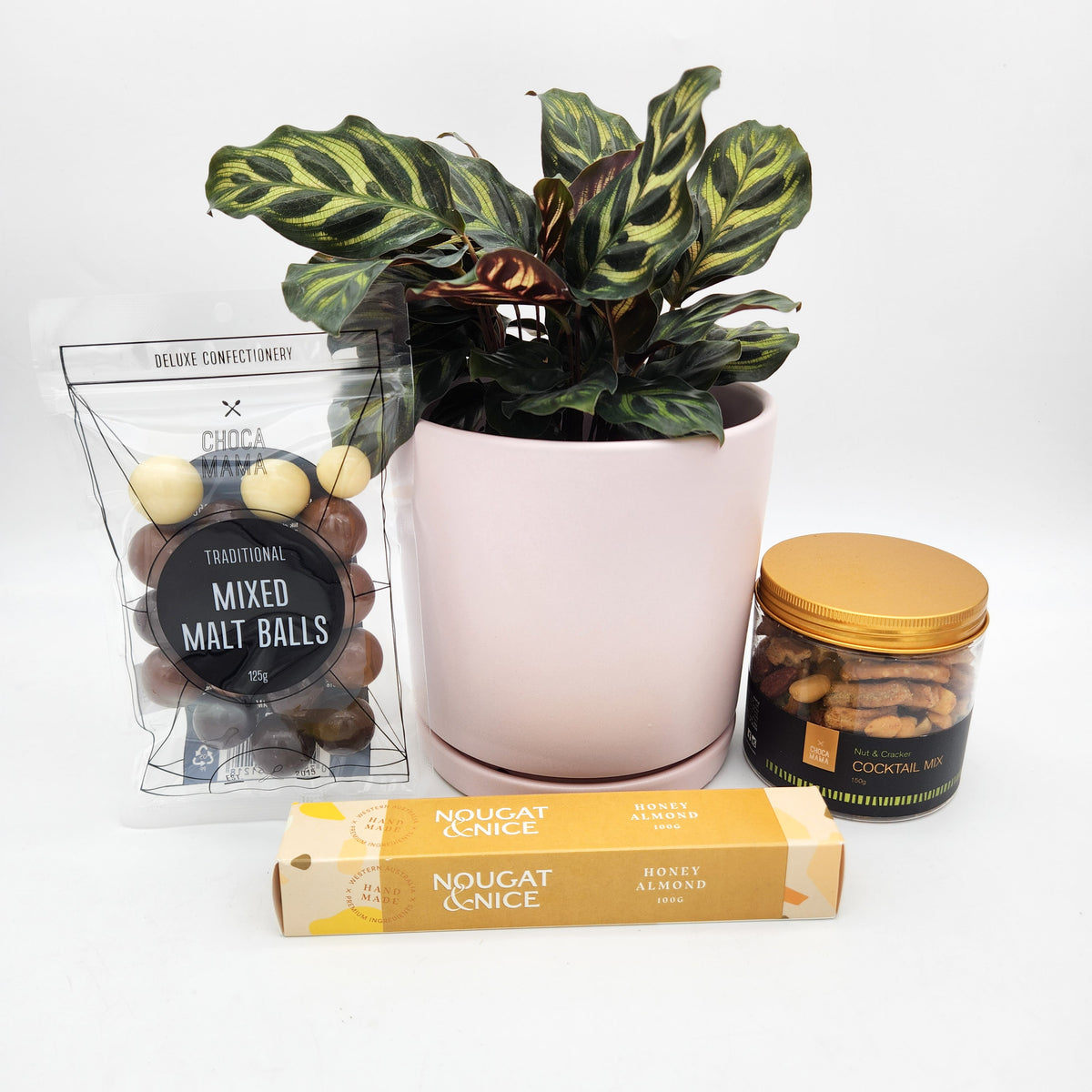 Happiest Birthday Plant Hamper | Same Day Plant Gift Delivery Sydney ...