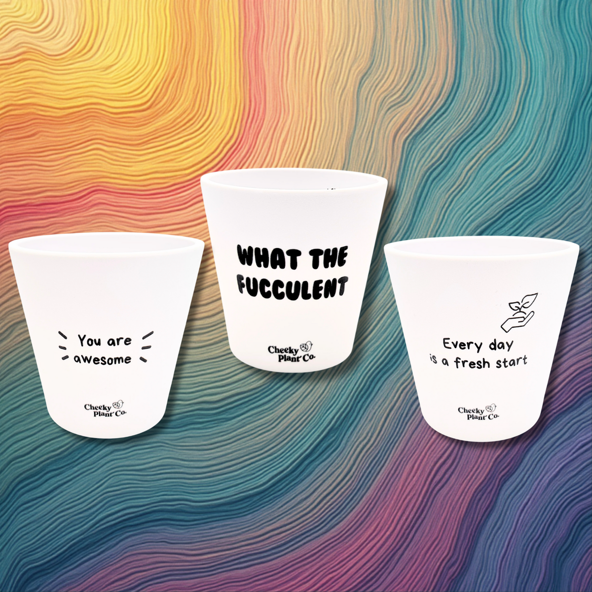 Feel-Good Trio - Pot Bundle | Funny Plant Pots & Cute Planters – Cheeky ...