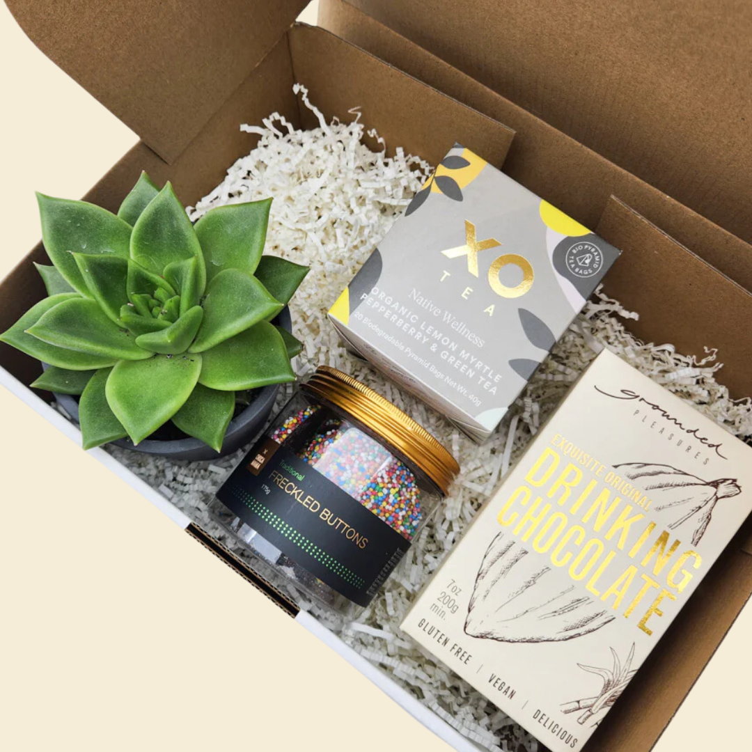 Employee Wellness / Wellbeing Hamper Gift Box | Succulent Gift Delivery ...