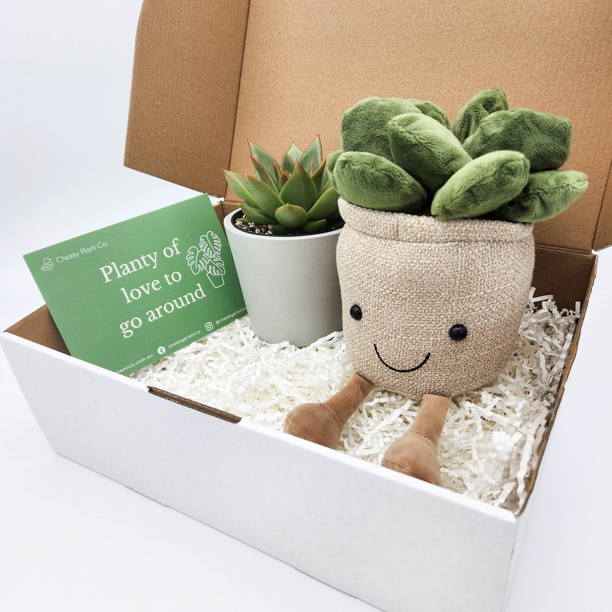 Cheeky Plant Plushie & Succulent Gift Box – Cheeky Plant Co.