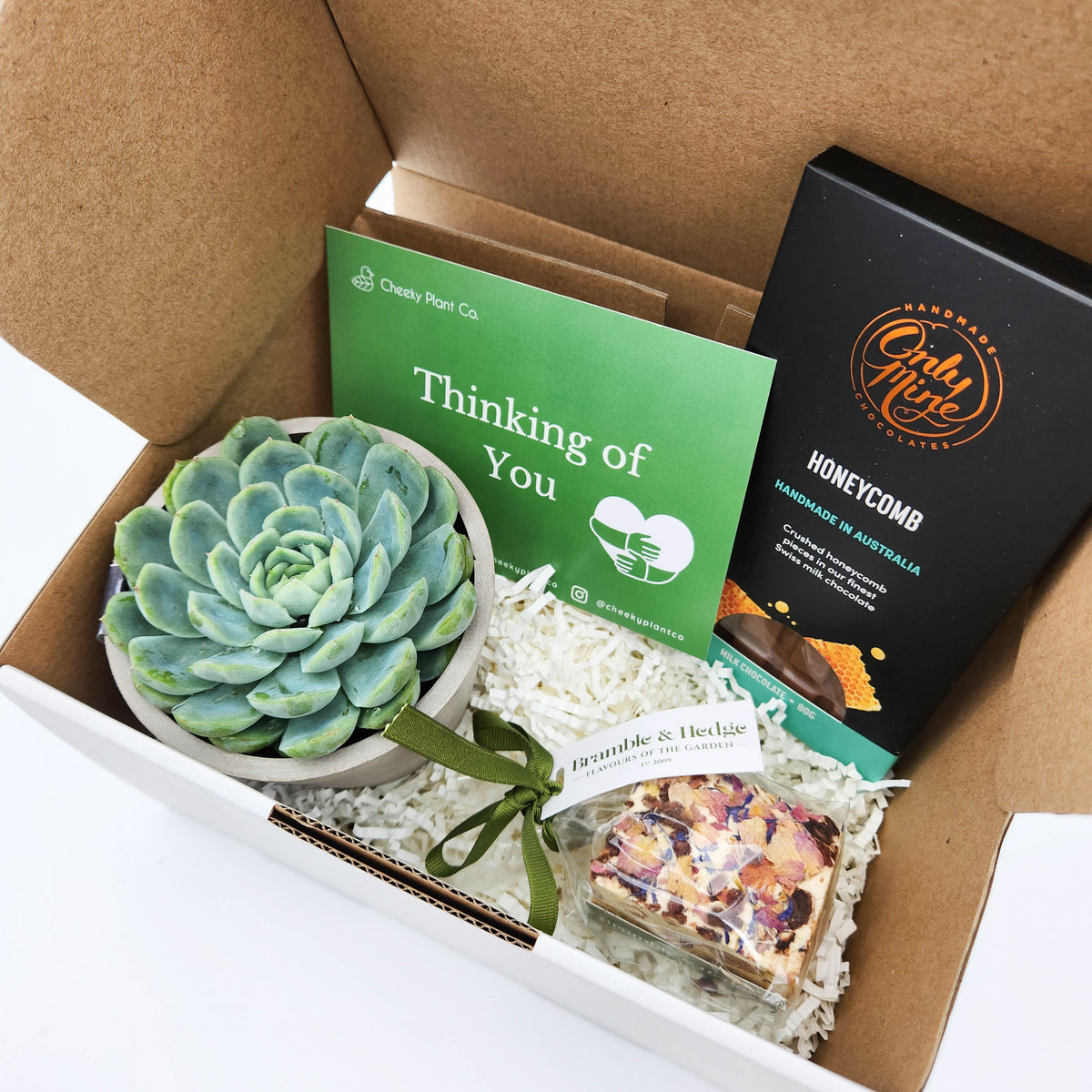 Comforting Condolence Gift Box | Sympathy Gift Succulent Delivery ...
