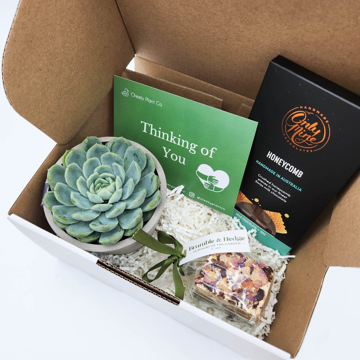Comforting Condolence Gift Box – Cheeky Plant Co.
