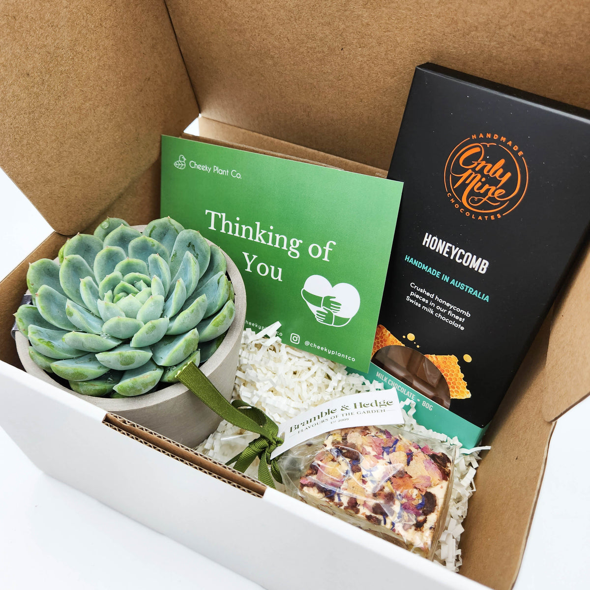 Comforting Condolence Gift Box | Sympathy Gift Succulent Delivery ...
