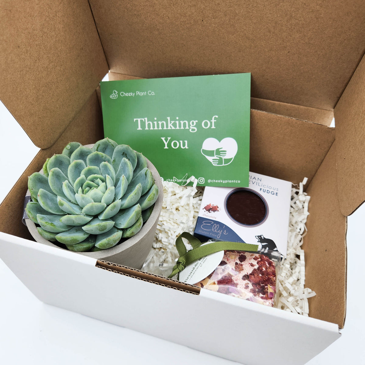 Comforting Sympathy Gift Box | Condolence Gift | Plant Gift Delivery ...