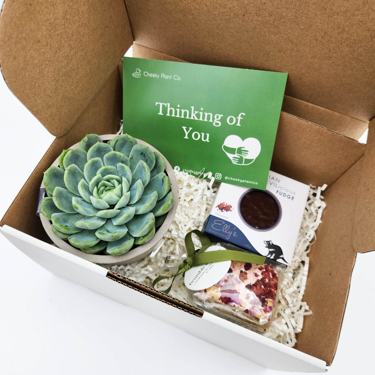 Comforting Sympathy Gift Box – Cheeky Plant Co.