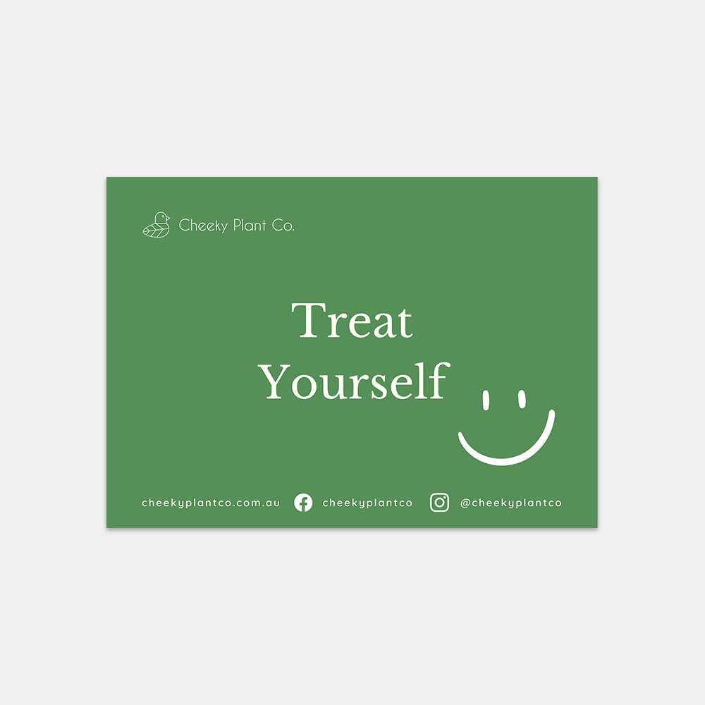 Employee Care Package Hamper Gift Box – Cheeky Plant Co.