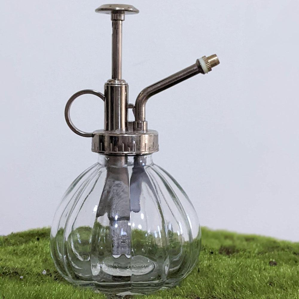 Glass Plant Mister - 200ml | Indoor Plant Mister | Plant Care – Cheeky ...