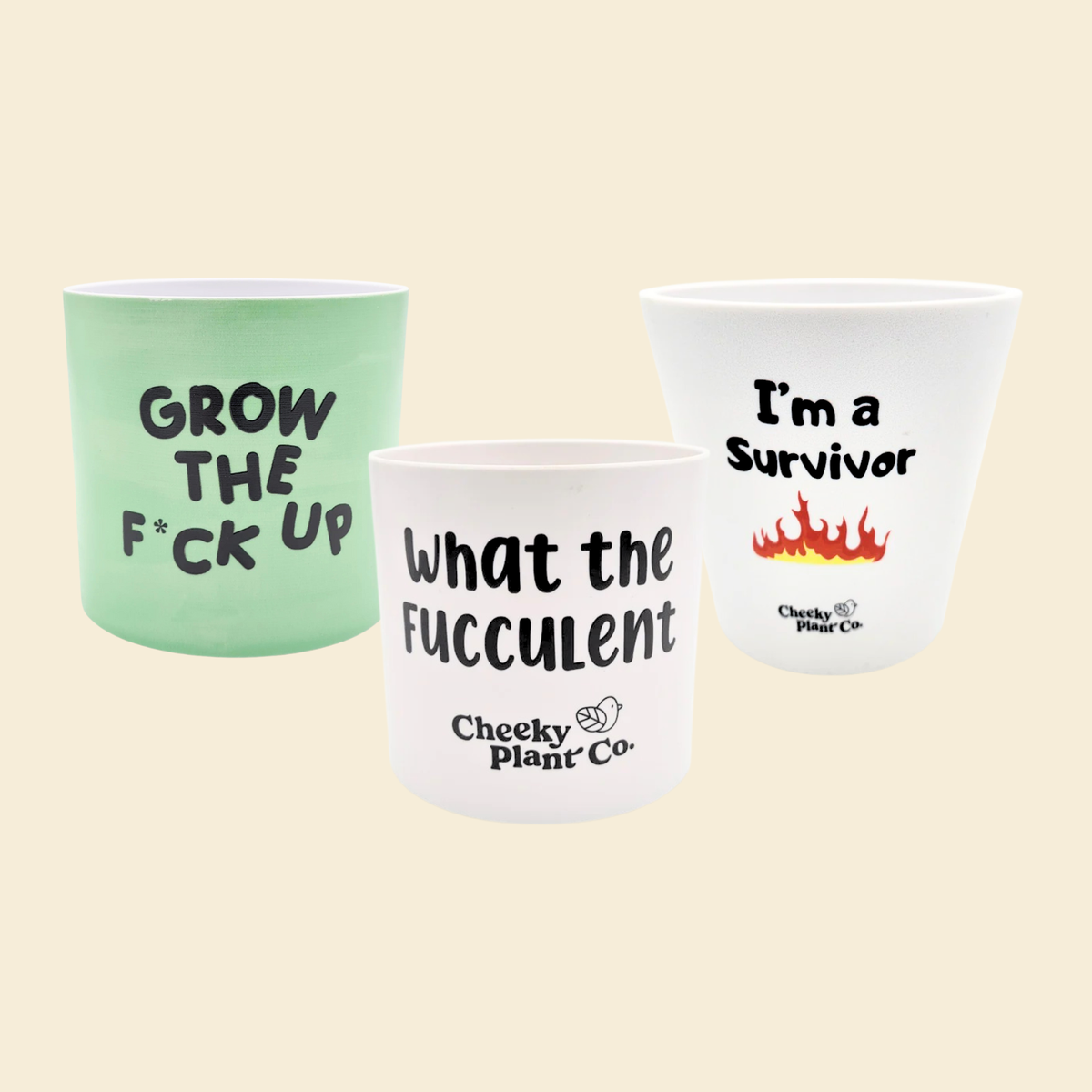 The Grown Survivor WTF - Pot Bundle – Cheeky Plant Co.