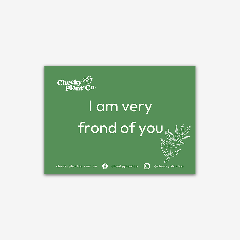 Cheeky Greeting Cards - Green – Cheeky Plant Co.