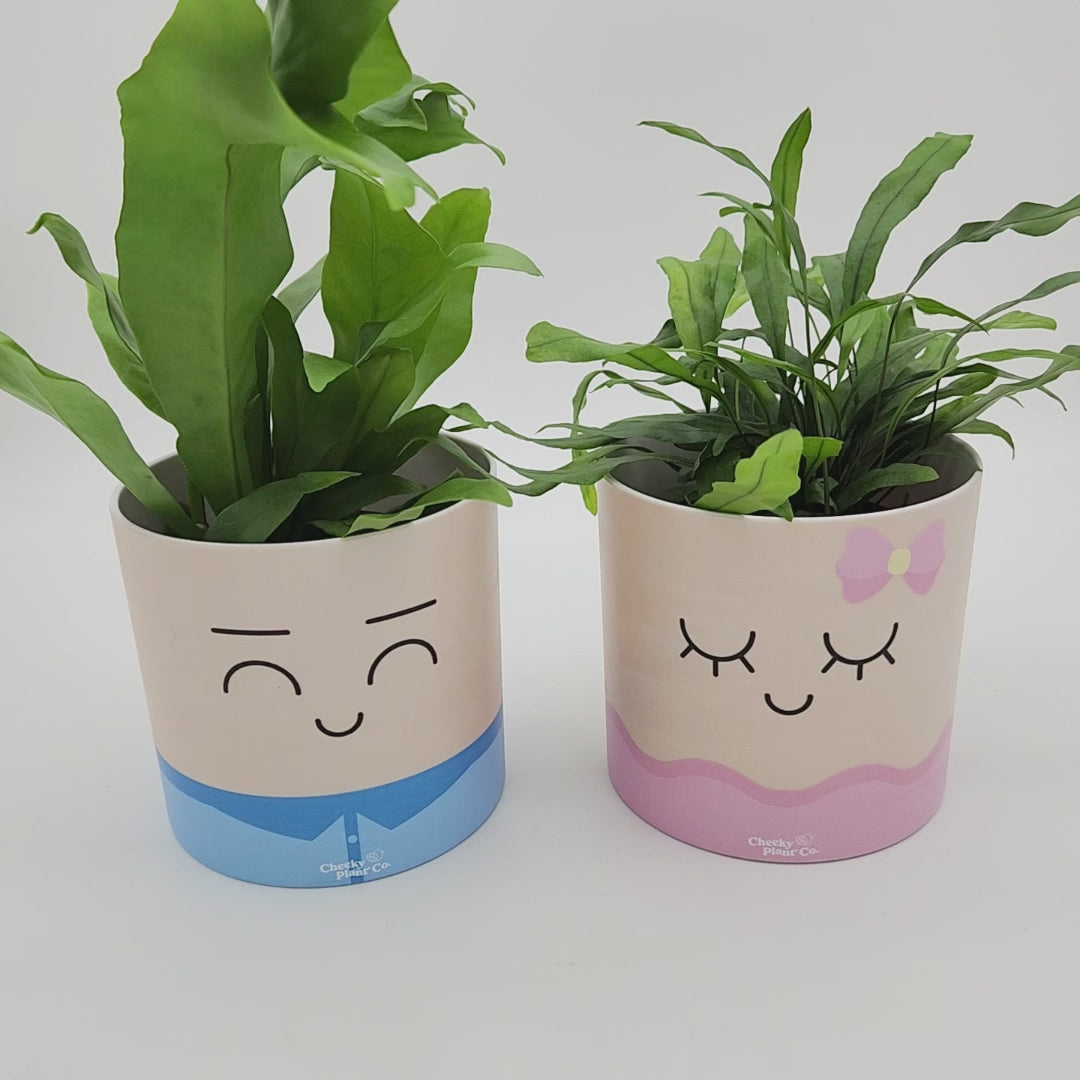 Face Swapping Pot - Moody Boyfriend | Funny & Quirky Plant Pots ...